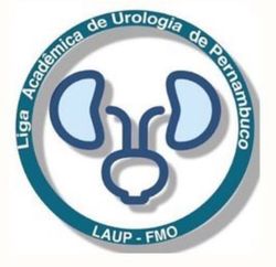 Processo Seletivo 2023 - LAUP