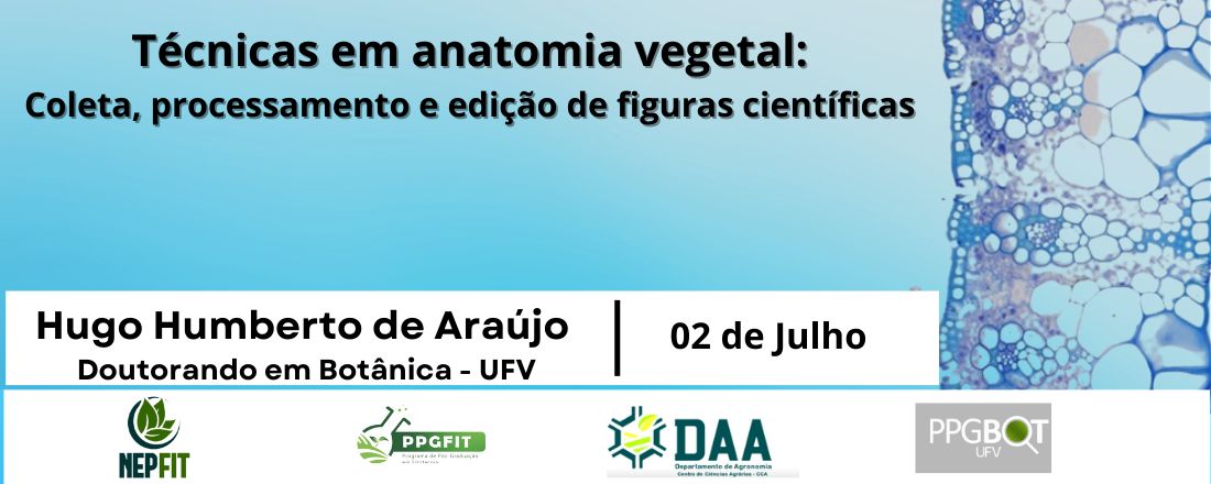 Técnicas em anatomia vegetal: coleta, processamento e edição de figuras ...