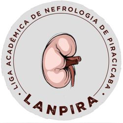 Aula Injúria Renal Aguda e Crônica