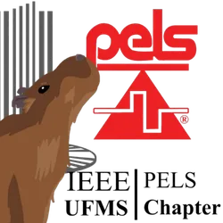 PELS DAY UFMS