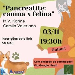 Pancreatite: canina x felina