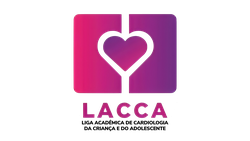 III Curso Introdutório LACCA