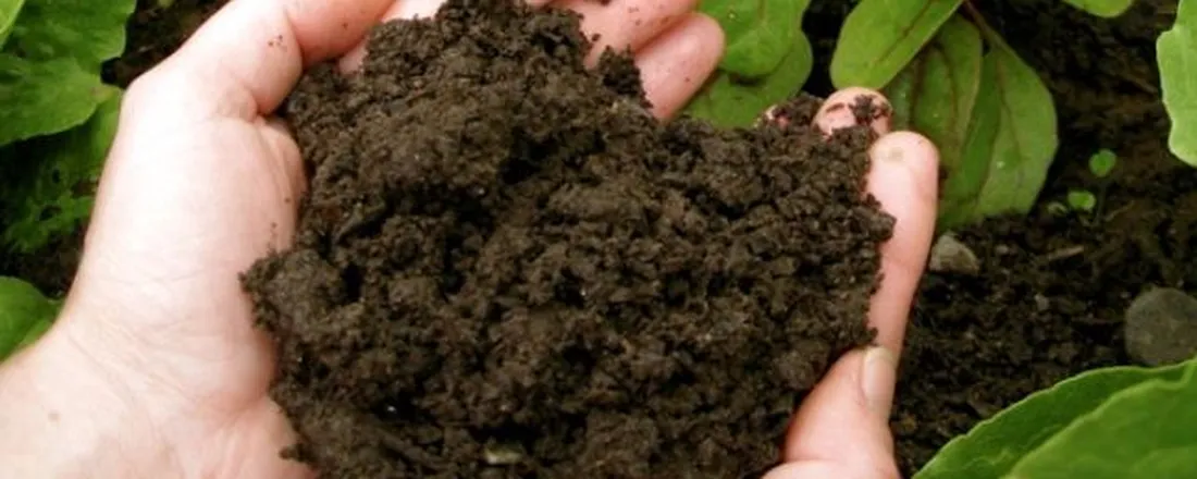 WEBINAR: Gerenciamento e Uso de Lodos de Esgoto na Agricultura