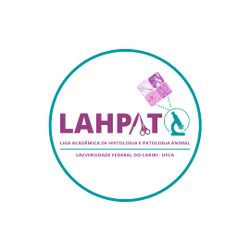 Leishmaniose Visceral Canina e Felina: Desafios e perspectivas