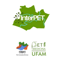 I Encontro Estadual dos Grupos PET do Amazonas (InterPET 2024): Para ...