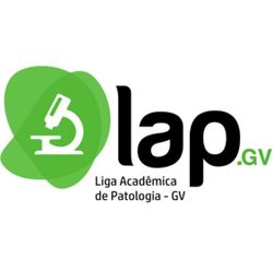 PROCESSO SELETIVO LAP-GV