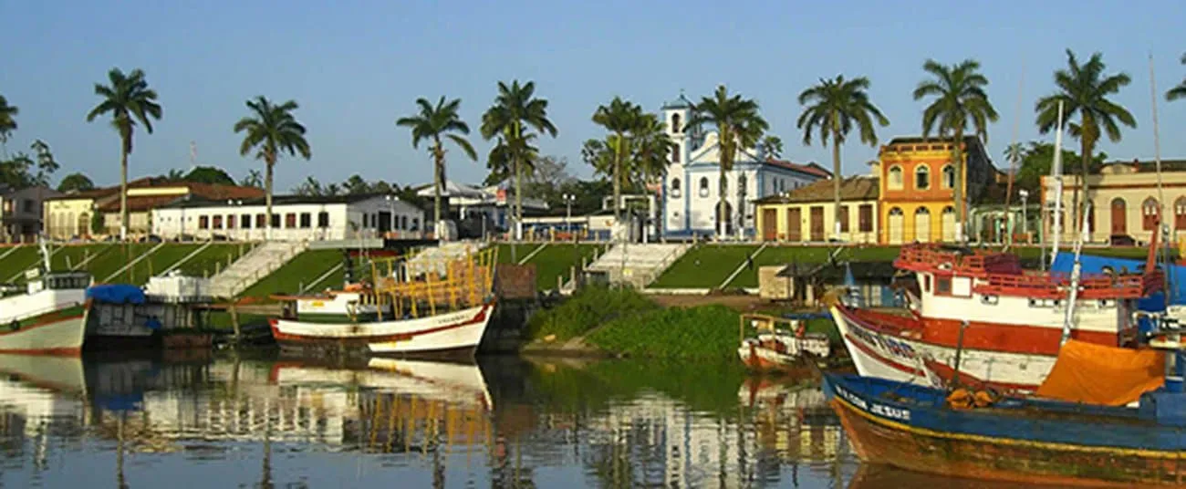 Avaliação Da Chalcona Heterocíclica Como Agente Inseticida E Seu ...