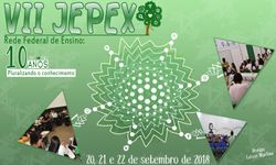 VII Jornada de Ensino, Pesquisa e Extensão - JEPEX