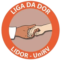 III Curso Introdutório da LIDOR